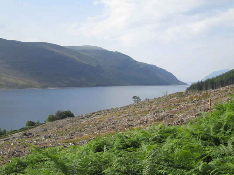 Walk Report - The Fara • Walkhighlands